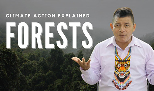 Climate Action Explained Climate Promise